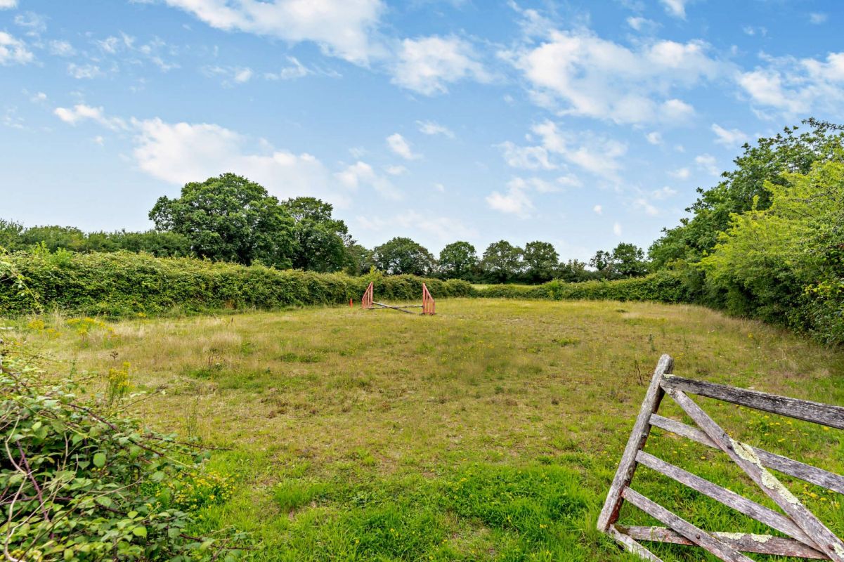 Coneyhurst Road | Strutt & Parker