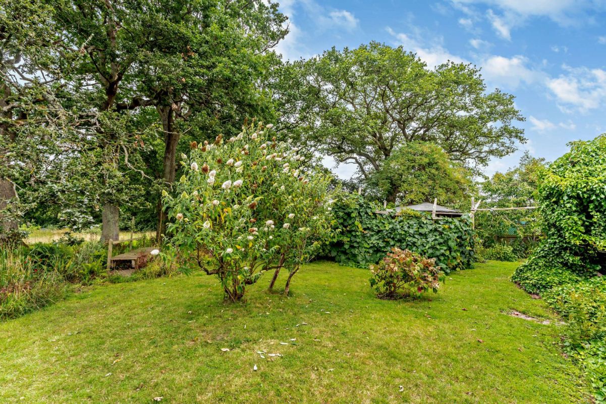 Coneyhurst Road | Strutt & Parker